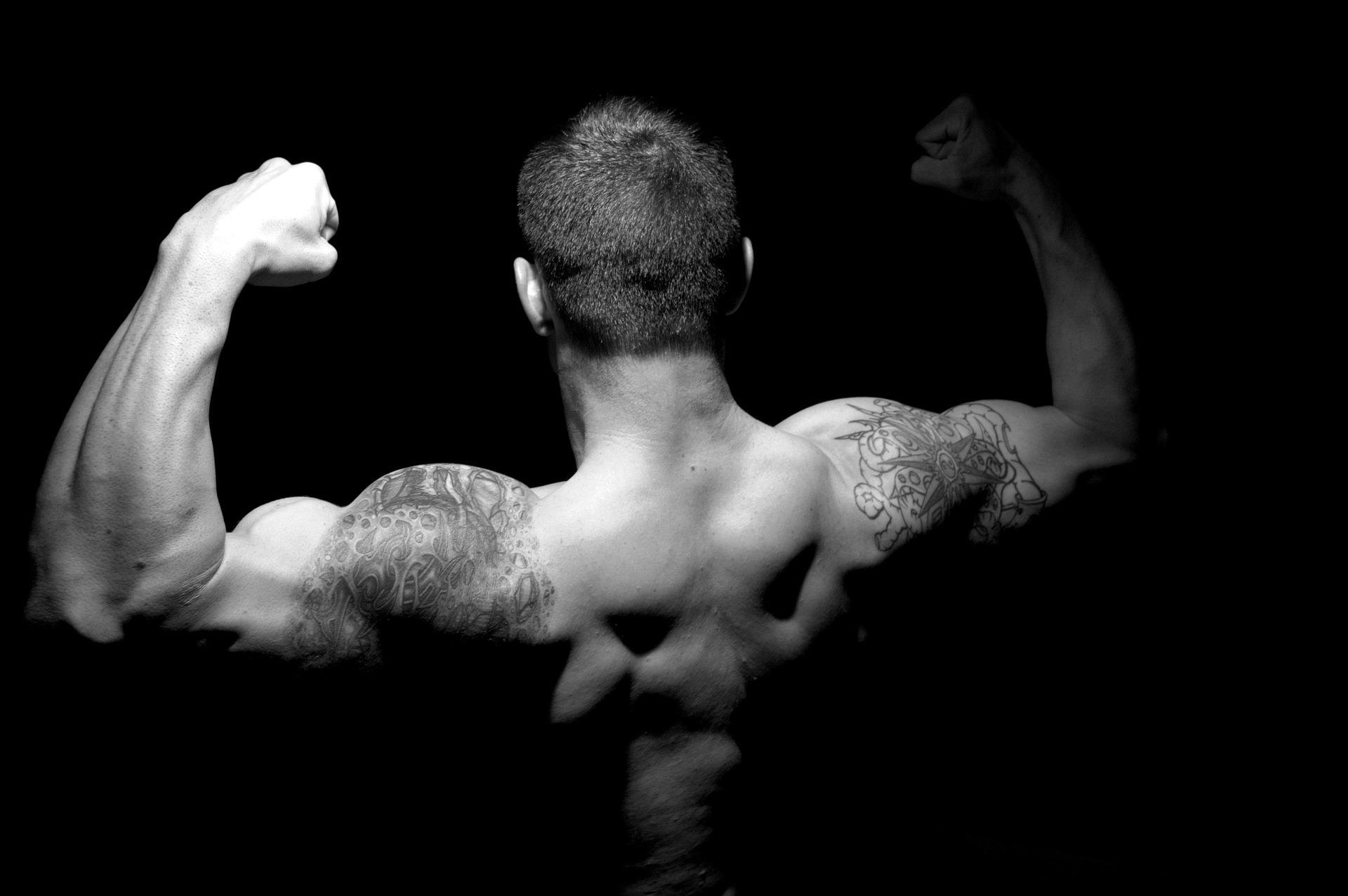 Simple Guide to Muscle Growth for Home Fitness