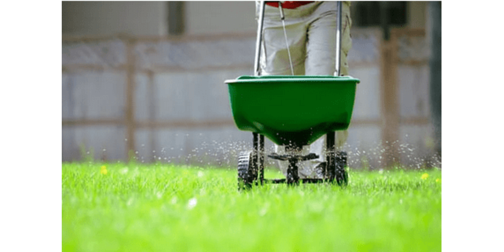 Slow vs. Quick Release Fertilizers: Lawn Care Guide
