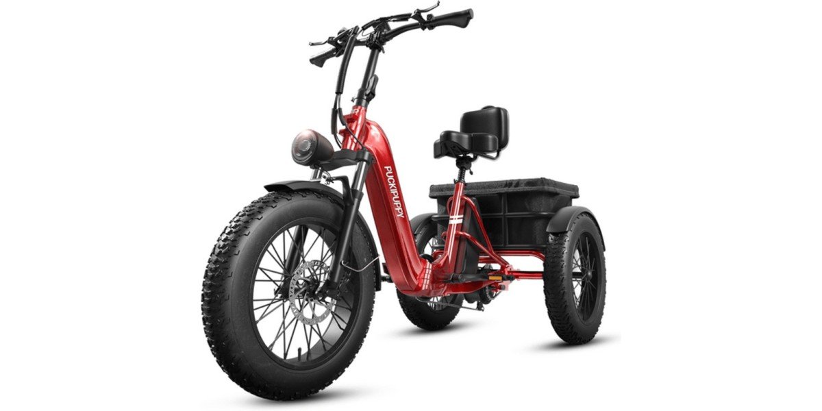 Husky Plus Electric Tricycle Review: City Ride Uncovered