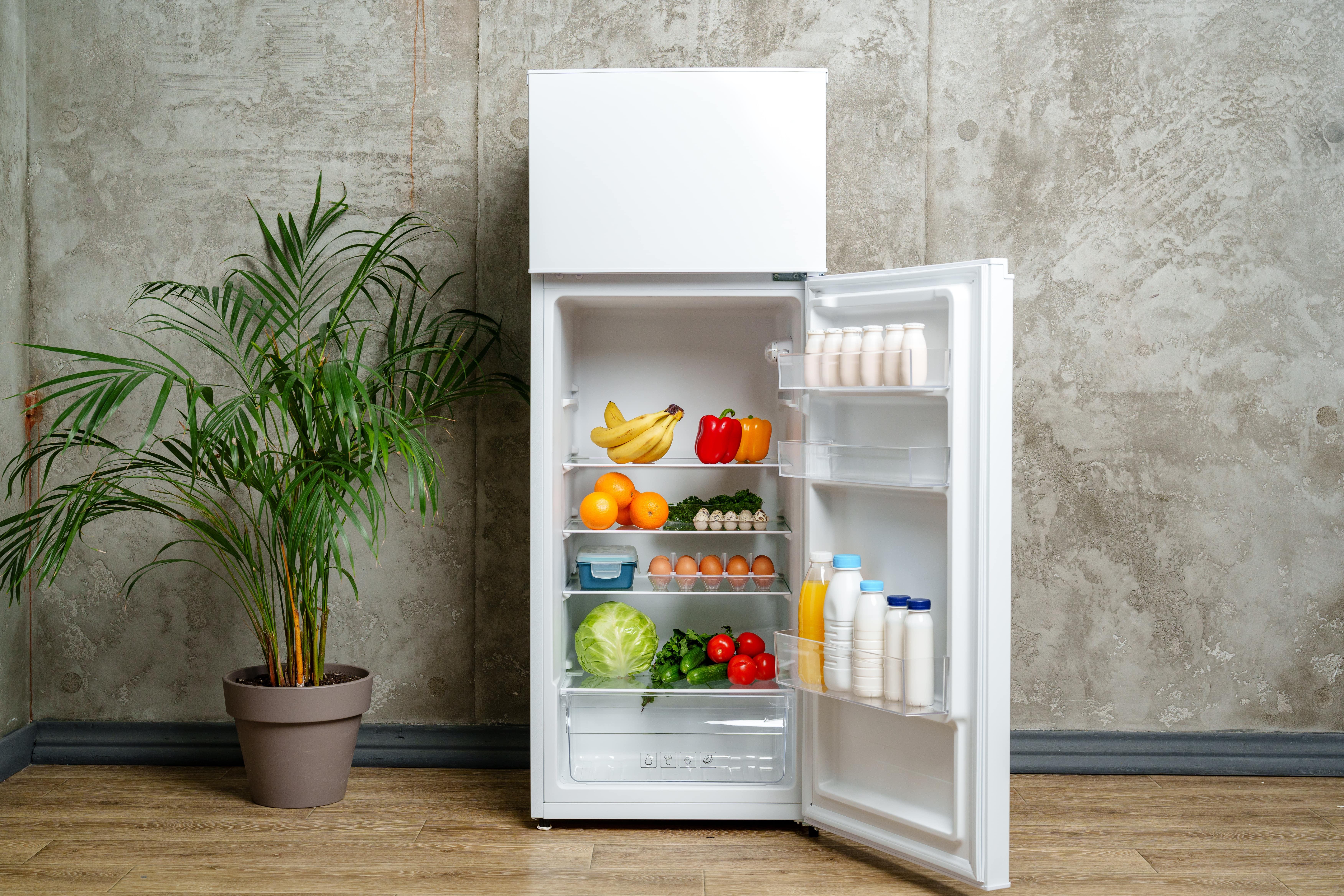 Frost Free Fridge Freezers: Beginner's Guide