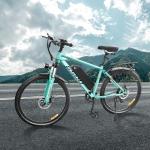 GSOU 250W Electric Mountain Bike - 60-Mile Range