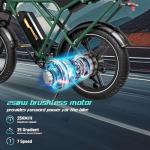 RCB 20 Electric Fat Tire E-Bike for Adults