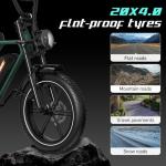 RCB 20 Electric Fat Tire E-Bike for Adults