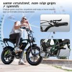 RCB 20 Electric Fat Tire E-Bike for Adults