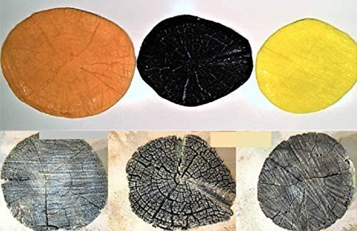 Transform Concrete: Tree Stump Texture Stamp Kit