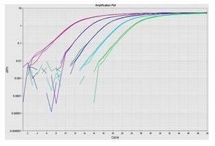 Mitochondrial DNA Damage Testing Kit - Reliable Results