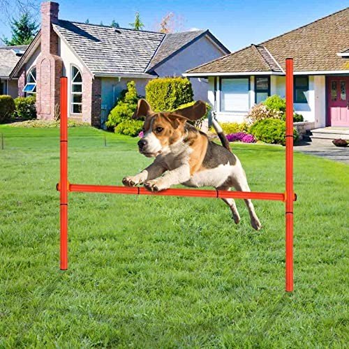 Adjustable Dog Agility Hurdle Kit for Training