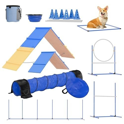 Backyard Dog Agility Course Set for New Puppies