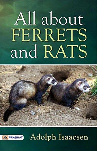 Essential Guide to Caring for Ferrets & Rats