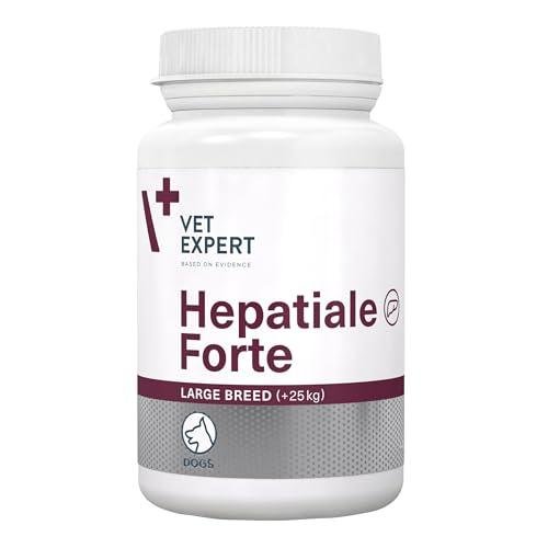 Advanced Liver Support for Large Dogs - Buy Now!
