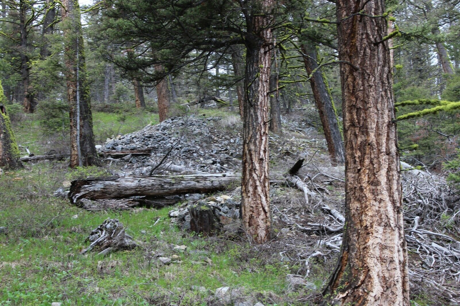 Difference Between Placer and Lode Claims | Mining Explained ...