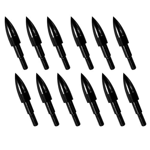 100 Grain Archery Arrow Tips - 12 Pack