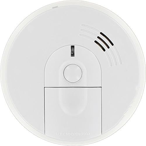 Discreet Smoke Detector Camera for Home Security