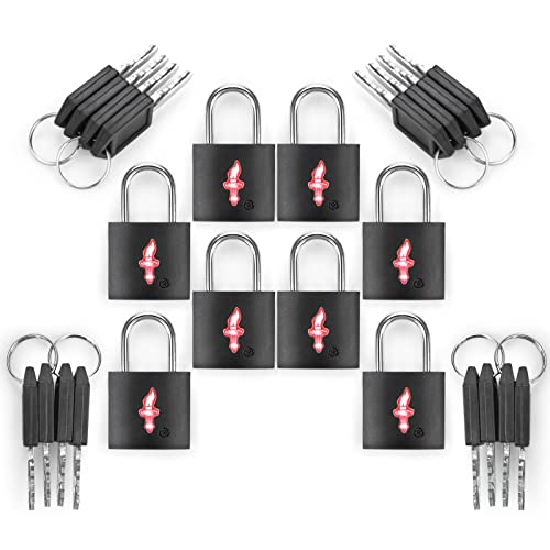 Secure Your Luggage with DualCrown TSA Locks