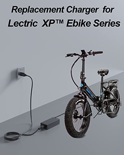 LECTRIC Electric Bike Battery Charger: Ultimate Compatibility
