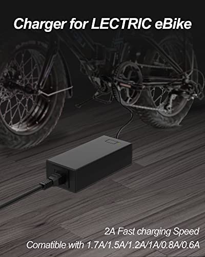 LECTRIC Electric Bike Battery Charger: Ultimate Compatibility