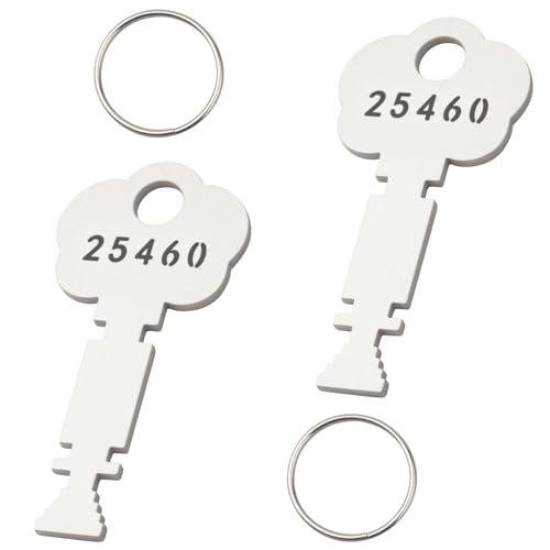 Secure Your Safety: Fire Alarm Key 2-Pack